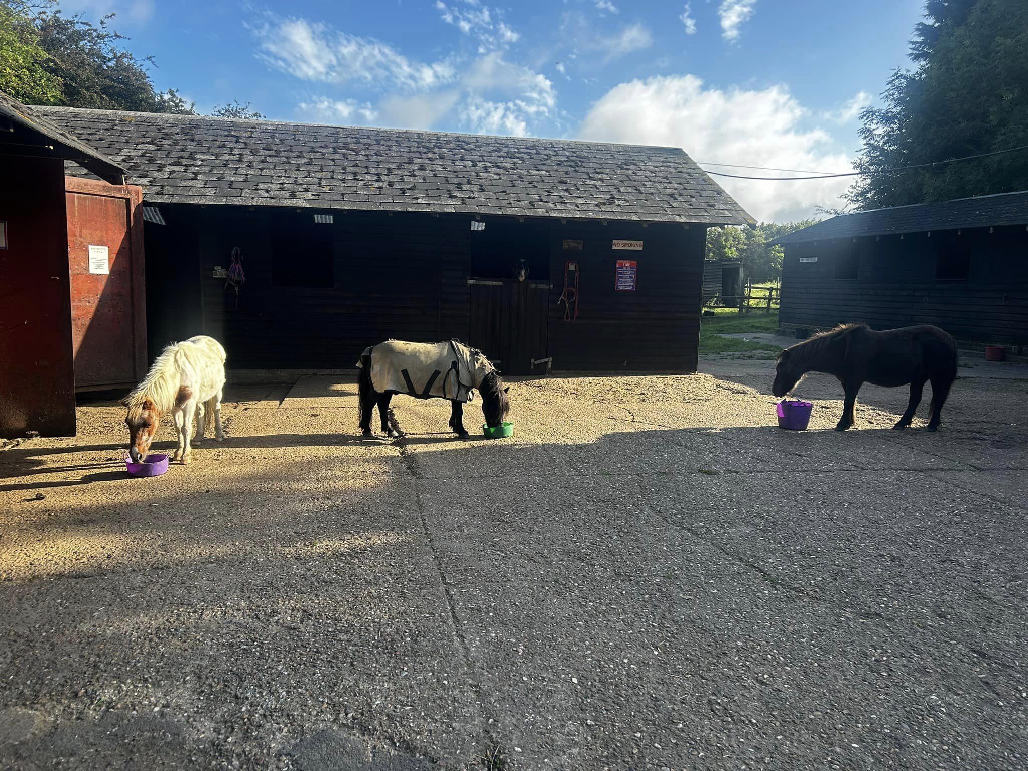 Bitchet Farm and Livery - LiveryList