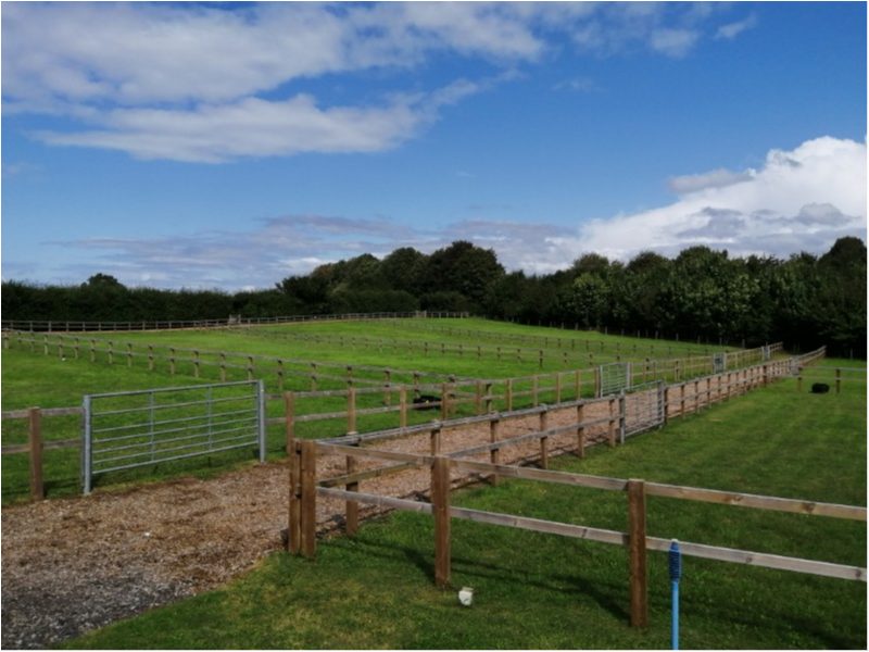 Cherry Tree Stables - LiveryList