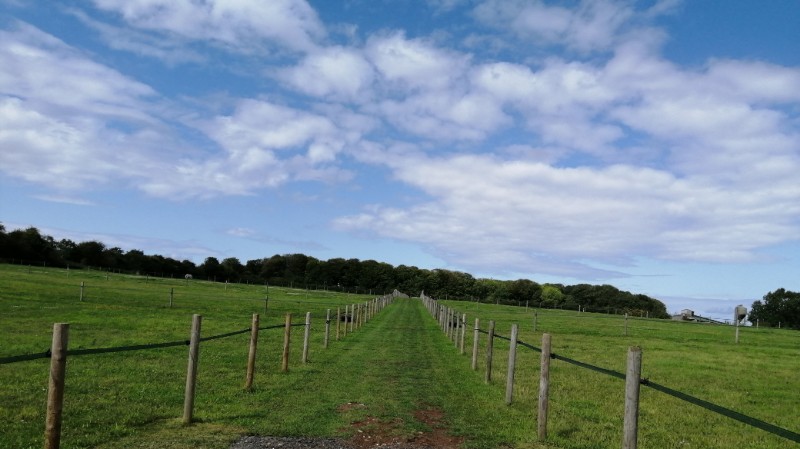 Cherry Tree Stables - LiveryList