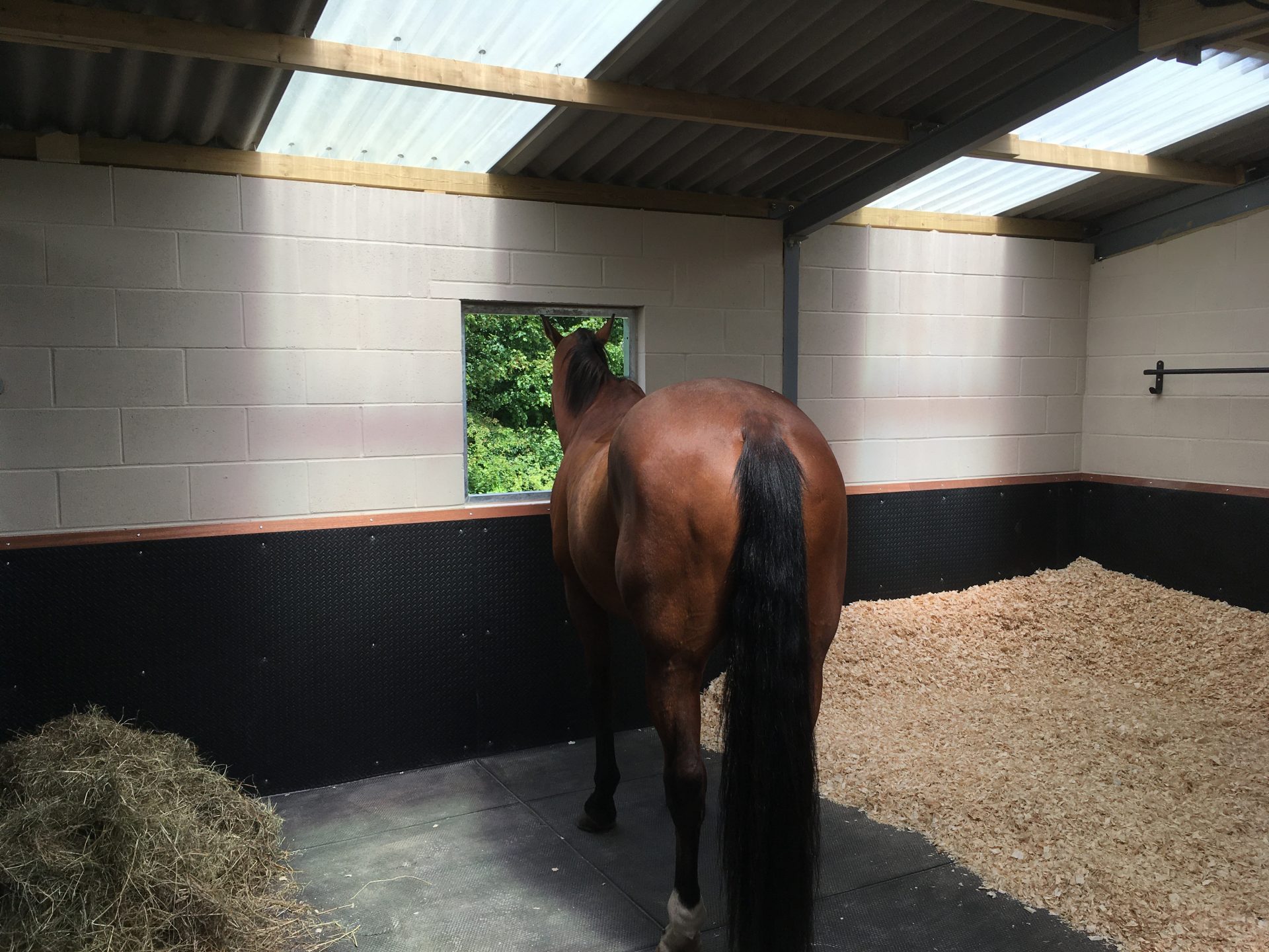 Bradley Road Stables- Warminster - LiveryList