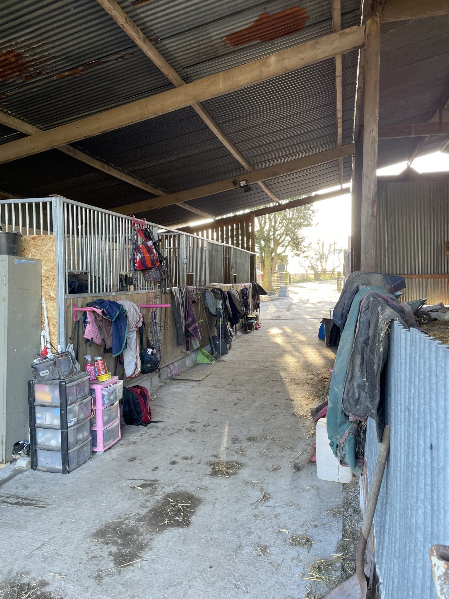 Bridge Farm - LiveryList