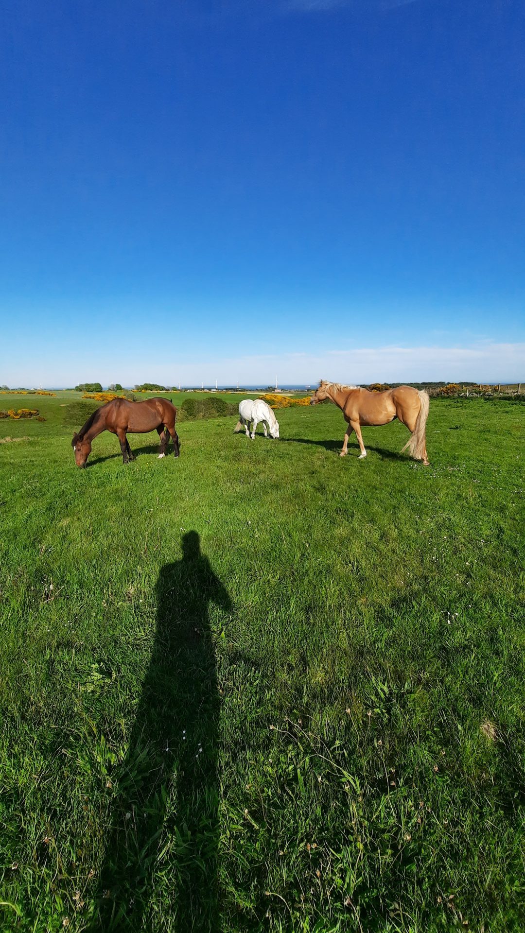 Butterywells Farm - LiveryList