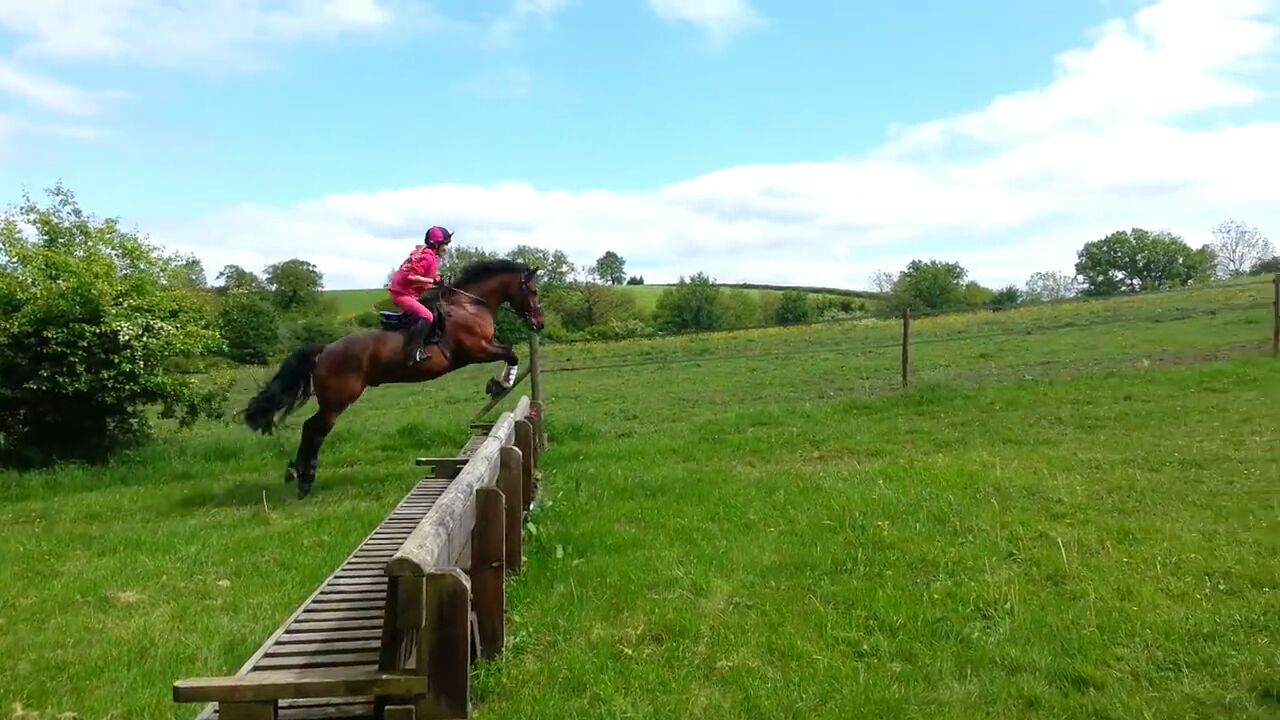 Castle Farm Livery & Cross Country - LiveryList