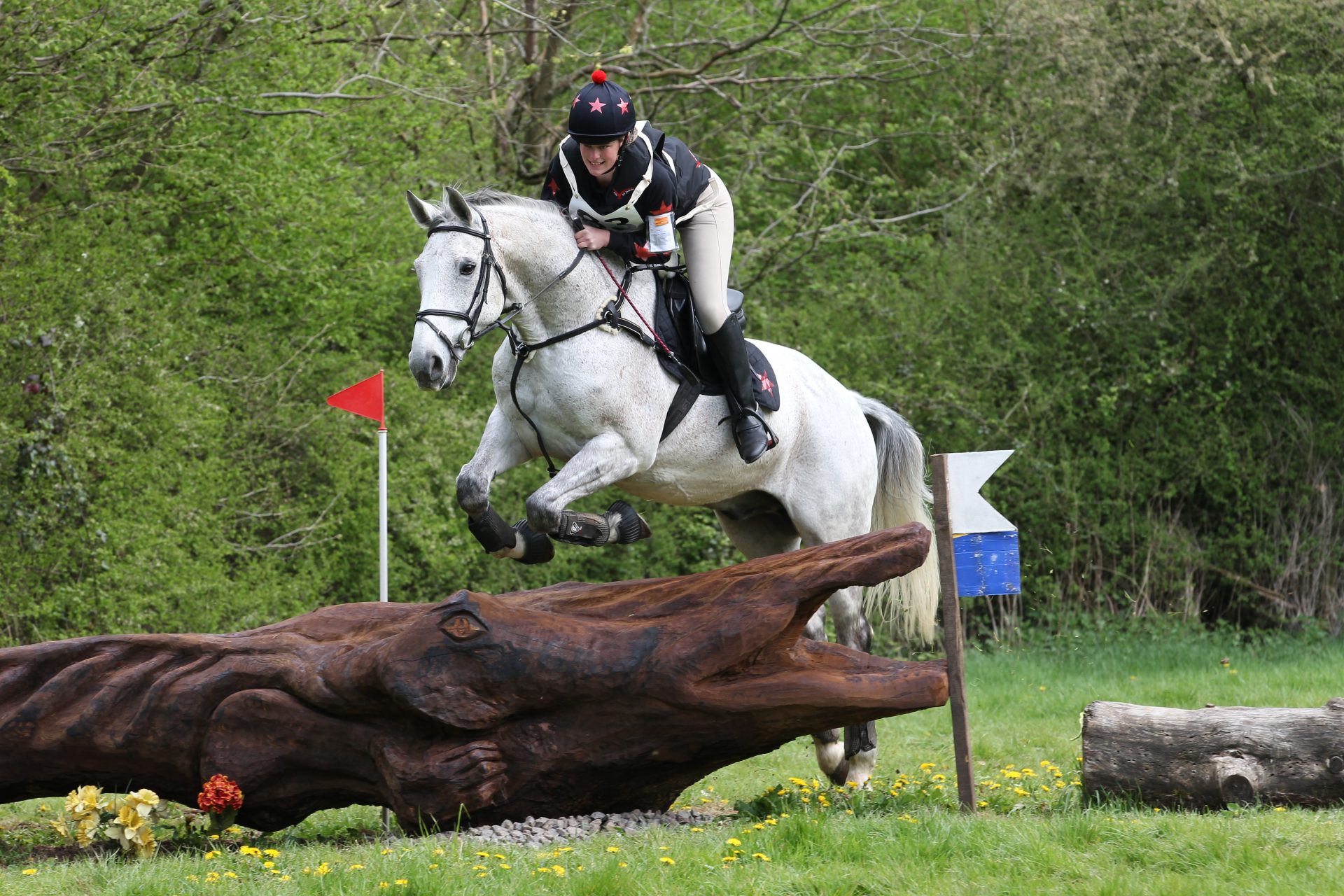 Castle Farm Livery & Cross Country - LiveryList