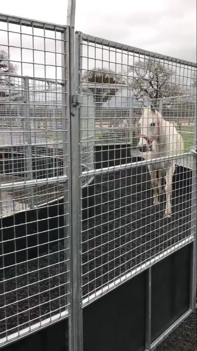 Cheshire Livery Stables - LiveryList