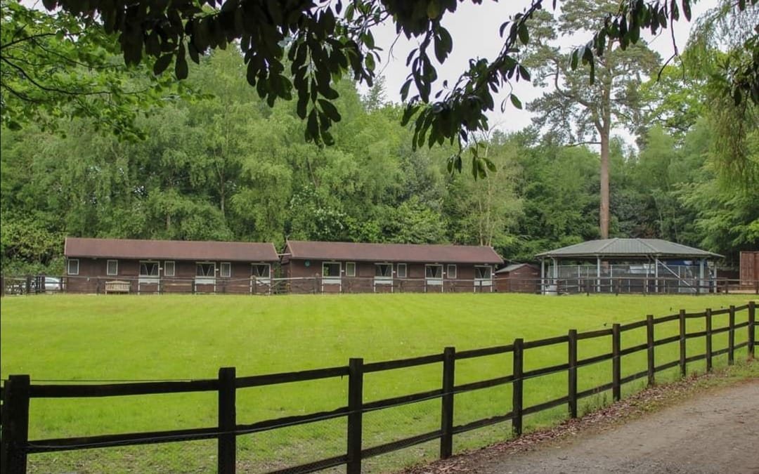 Cheval Court Stud Livery - LiveryList