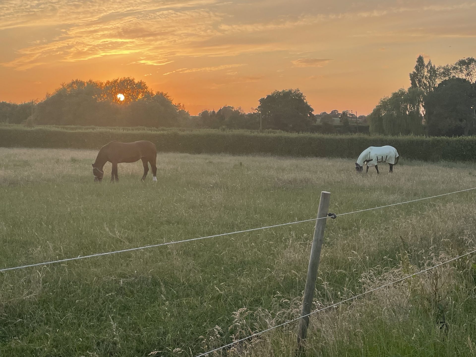 Chilcote Full Livery Stables - LiveryList