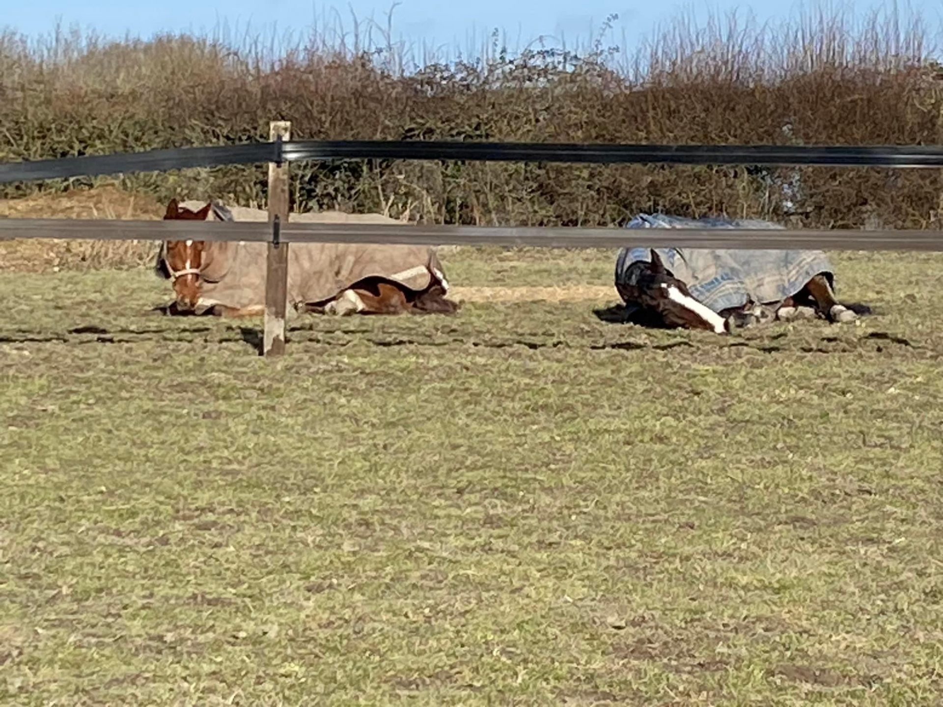 Claylands Barn - LiveryList