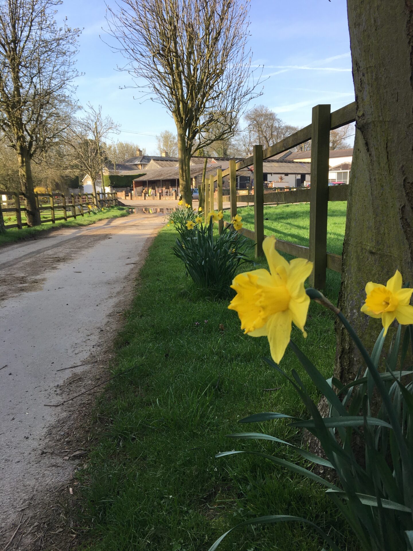 Clifford Moor Farm Livery - LiveryList