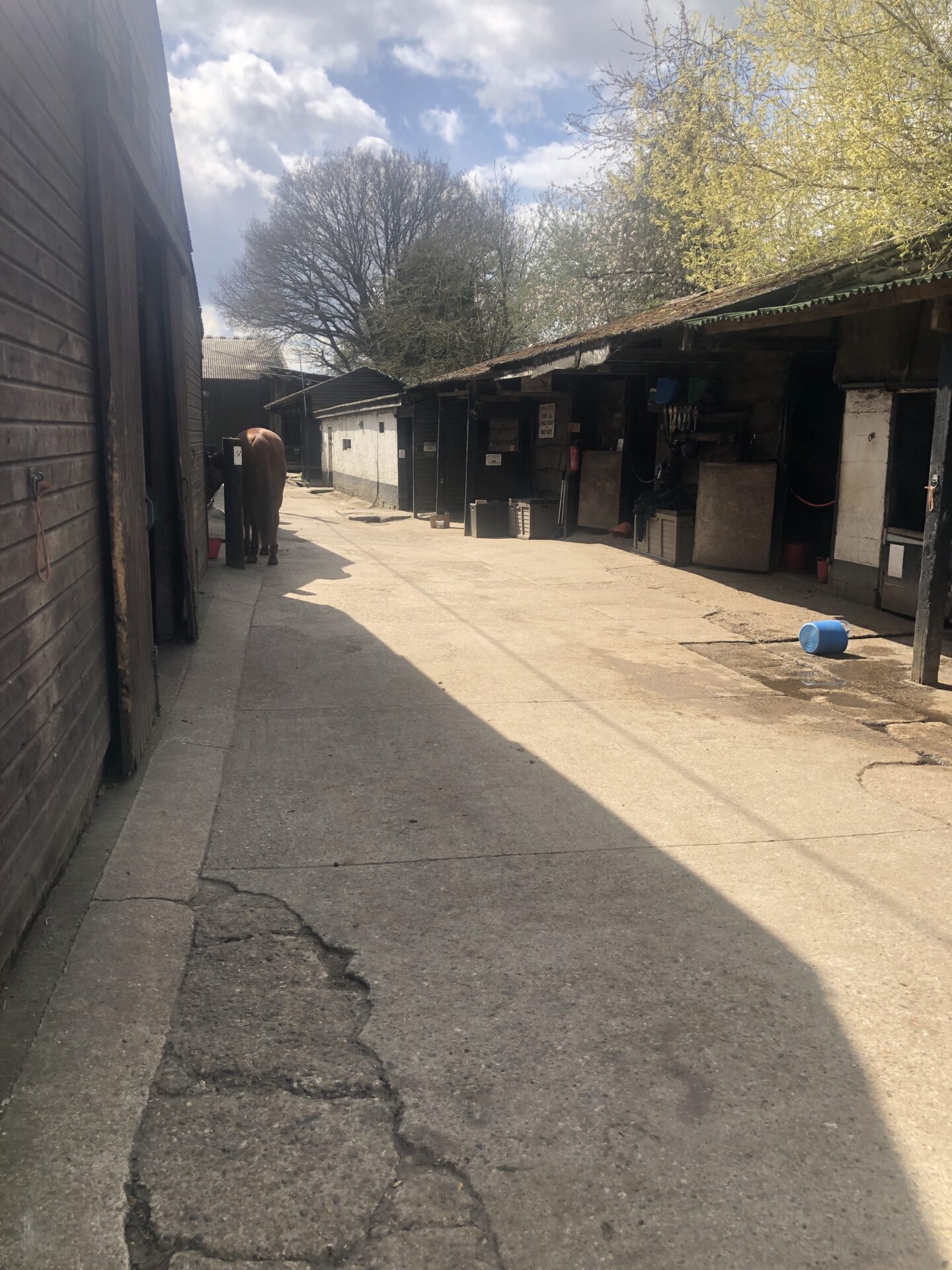 Cloud Stables - LiveryList