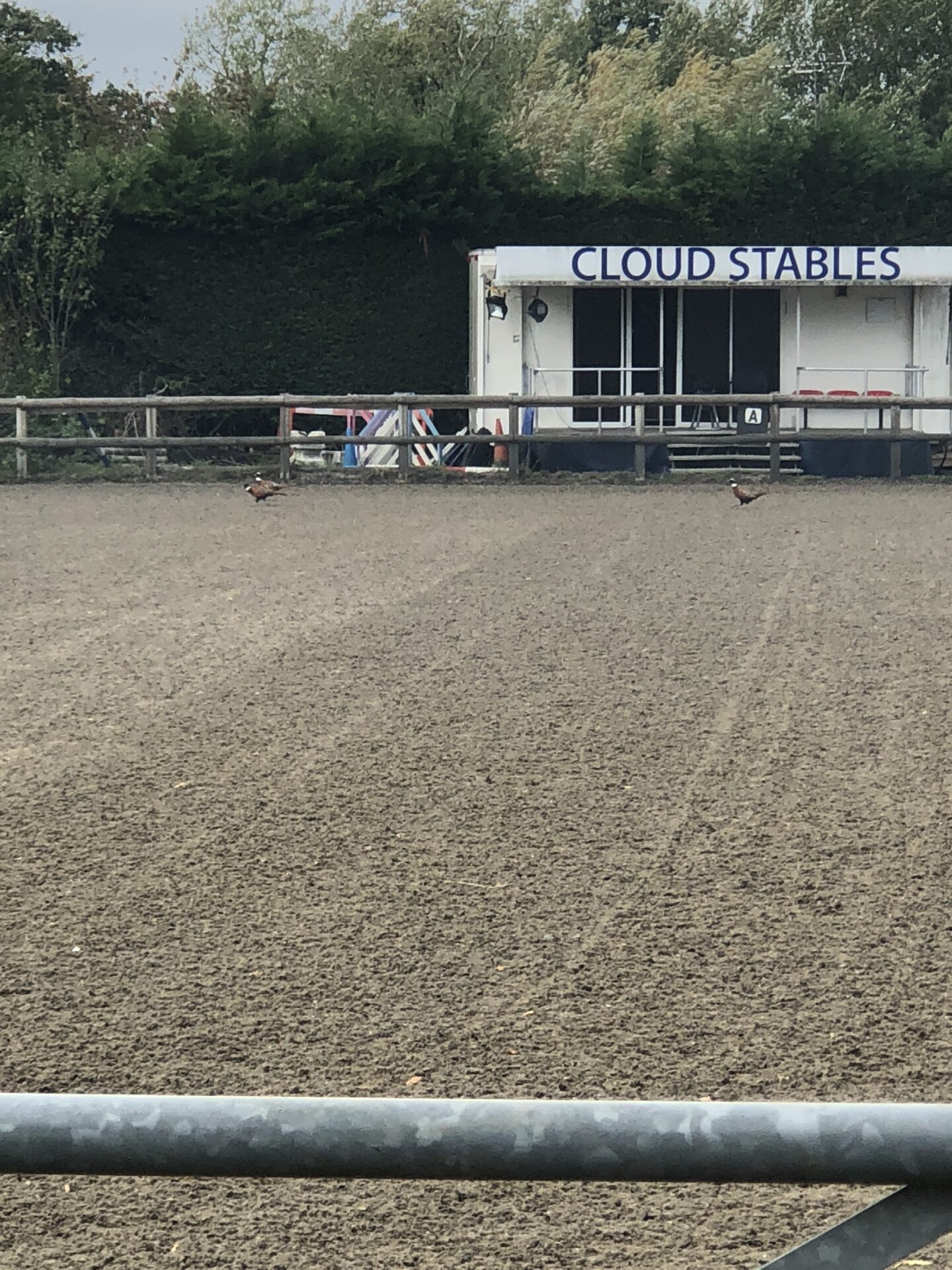 Cloud Stables - LiveryList