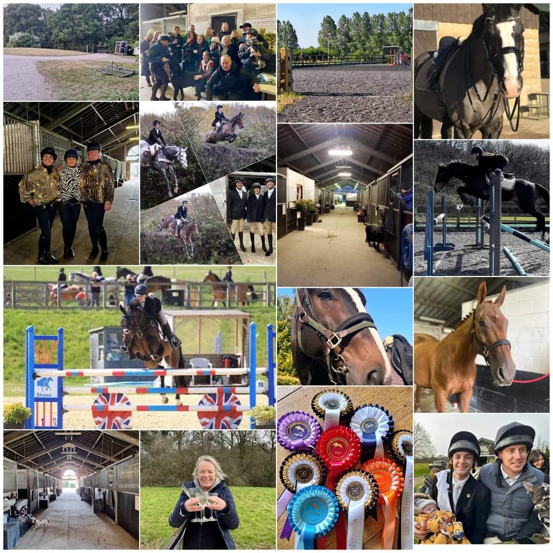 Dragons Livery - LiveryList