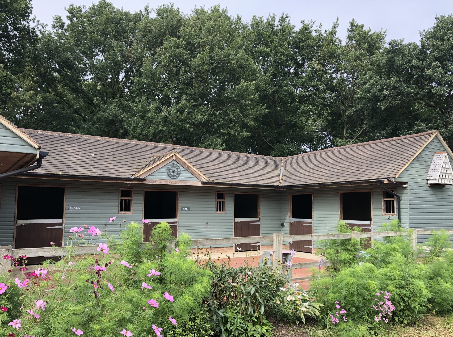 Edeys Equestrian Retirement Livery - LiveryList