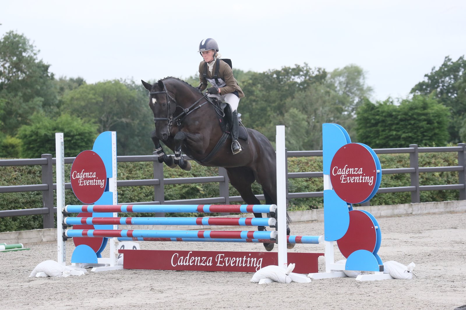 Elite Equine Livery - LiveryList