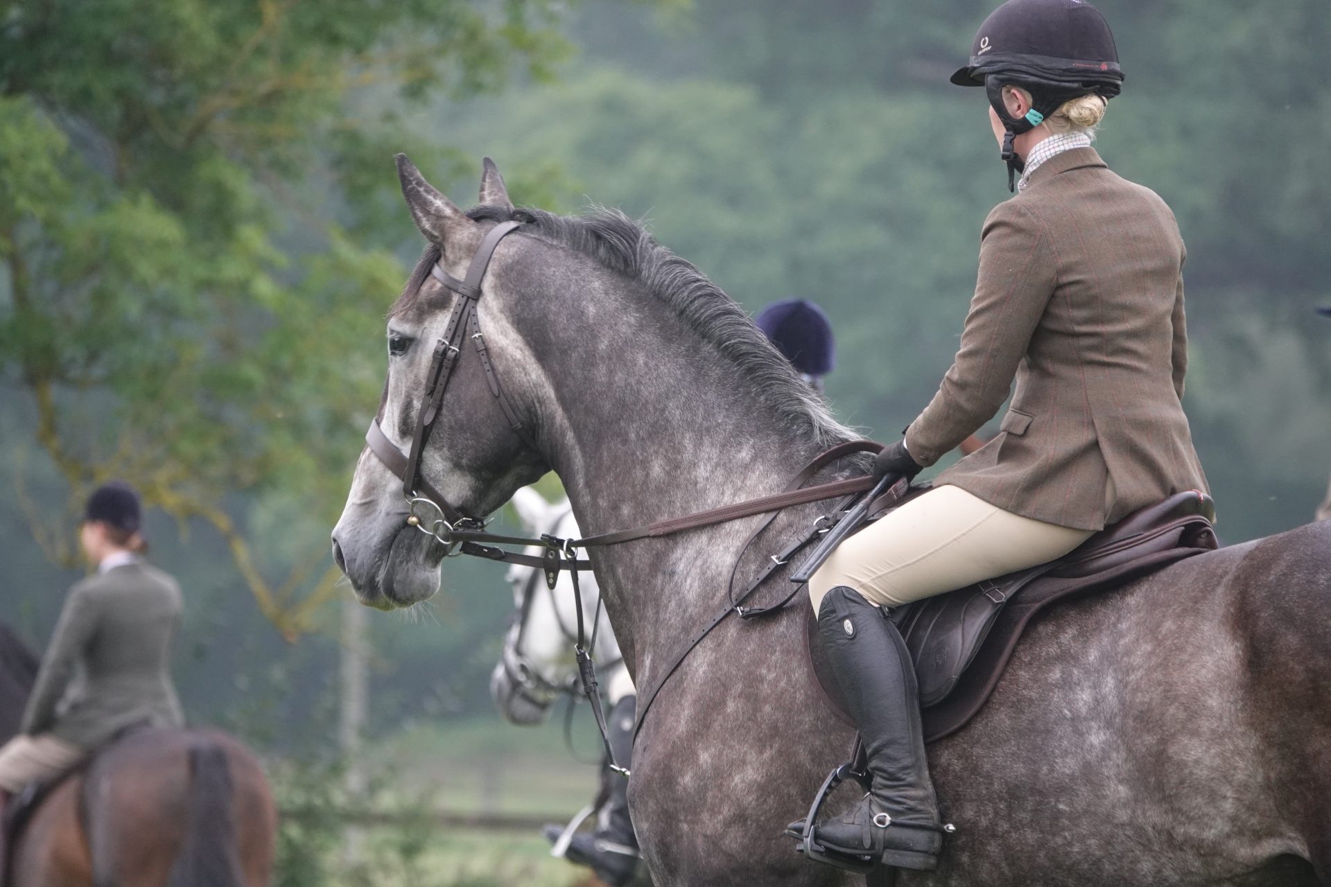 Elite Equine Livery - LiveryList