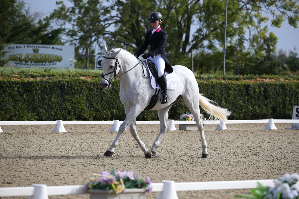 Elite Equine Livery - LiveryList
