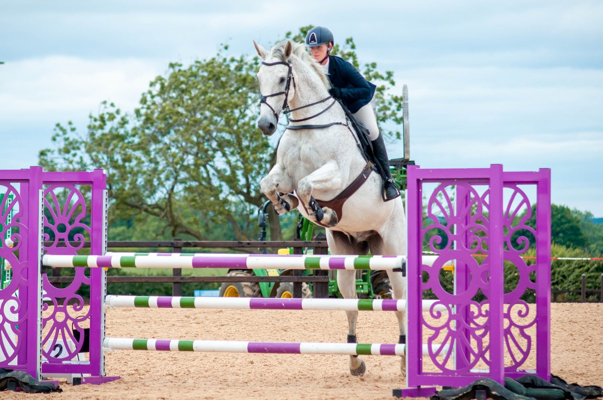 Elite Equine Livery - LiveryList