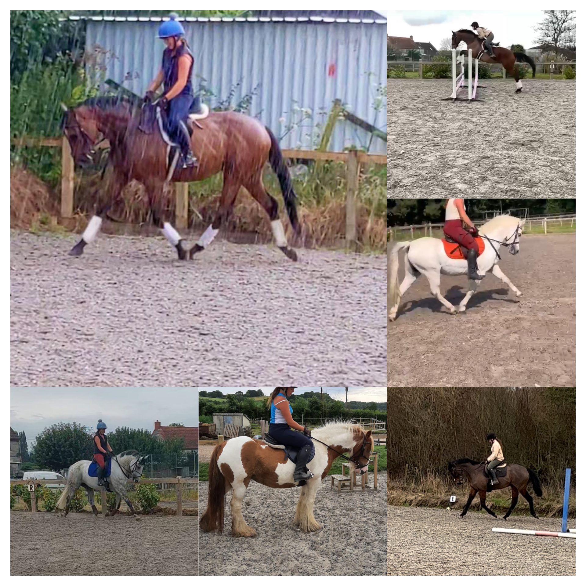 Evergreen Equestrian - LiveryList