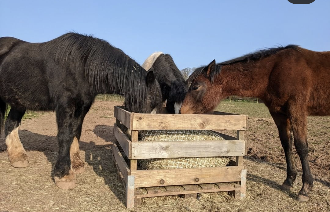 Field and Forest Track Livery - LiveryList