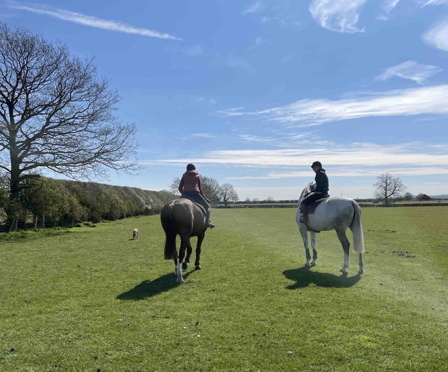 Folly Fields Farm - LiveryList