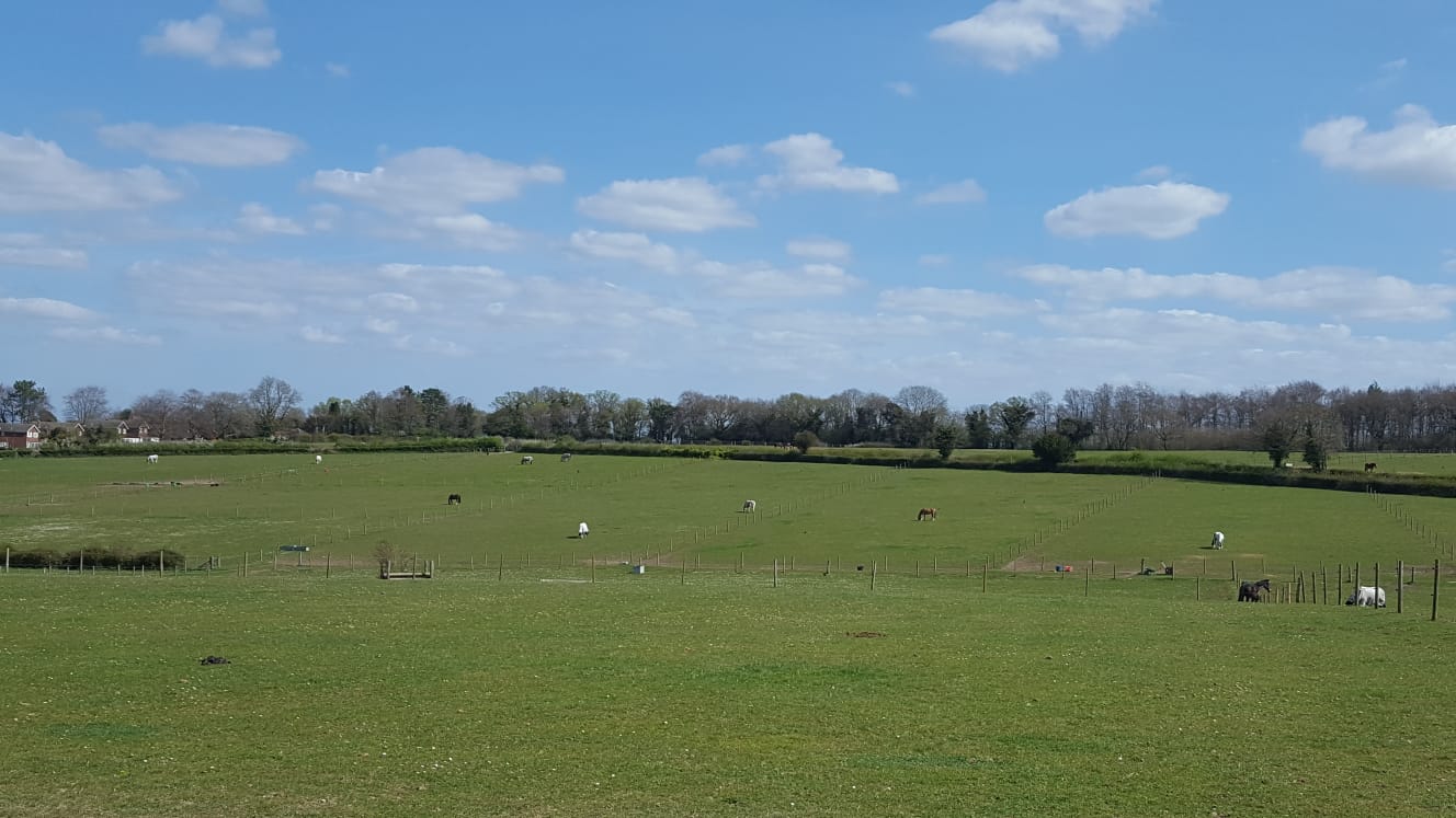 Great Bookham Equestrian Centre - LiveryList