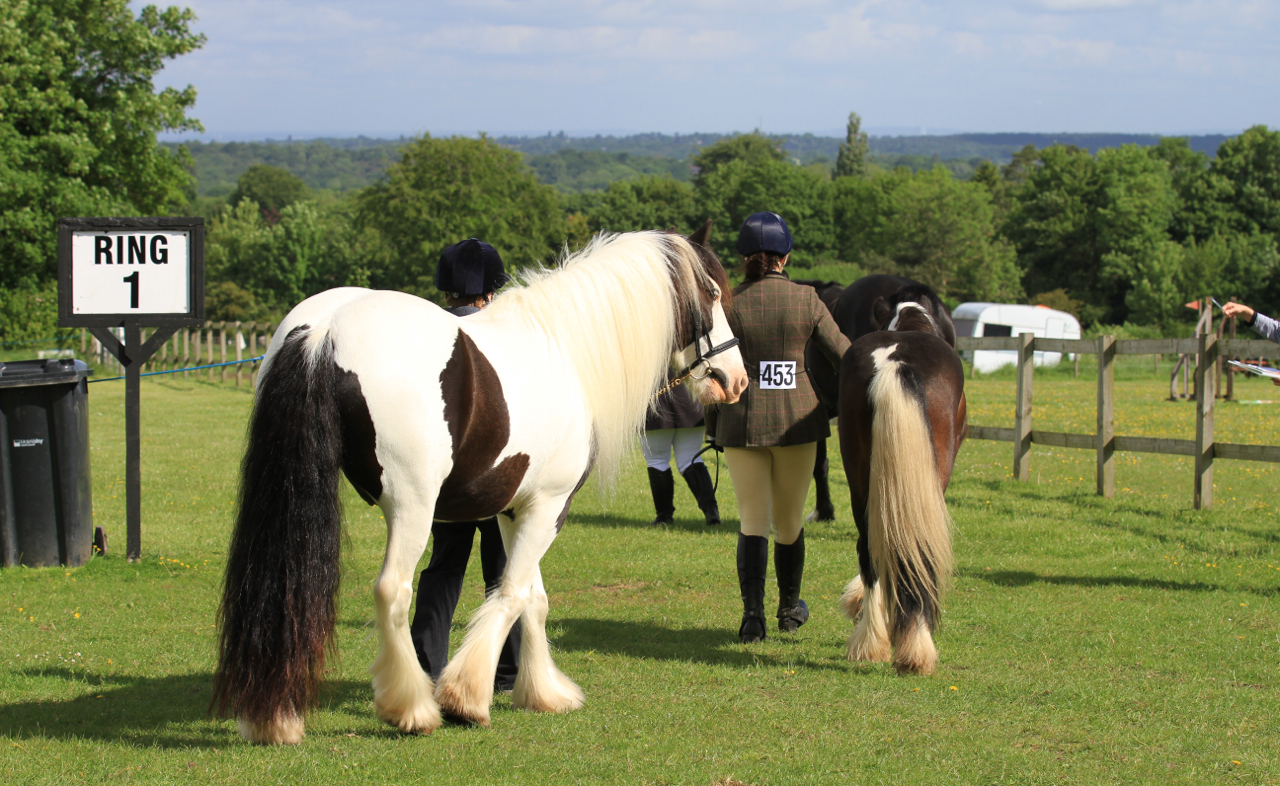 Great Bookham Equestrian Centre - LiveryList