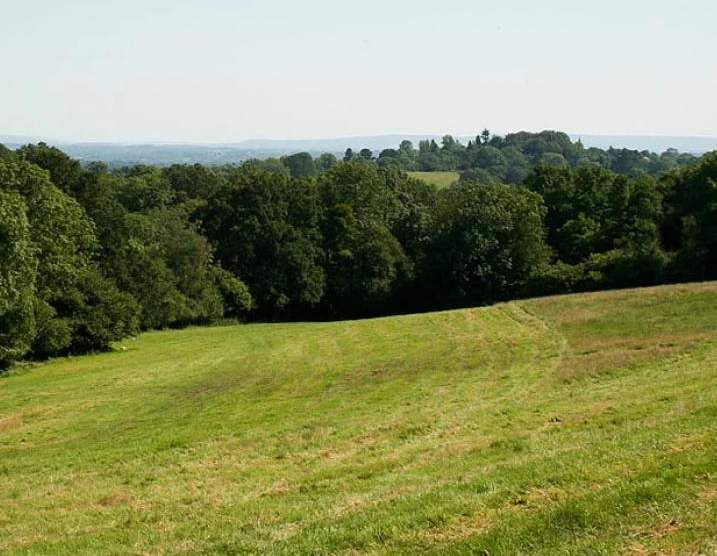 Hook Farm DIY and Grass Retirement Livery - LiveryList