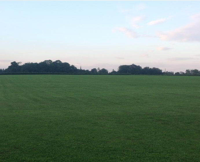 Hook Farm DIY and Grass Retirement Livery - LiveryList