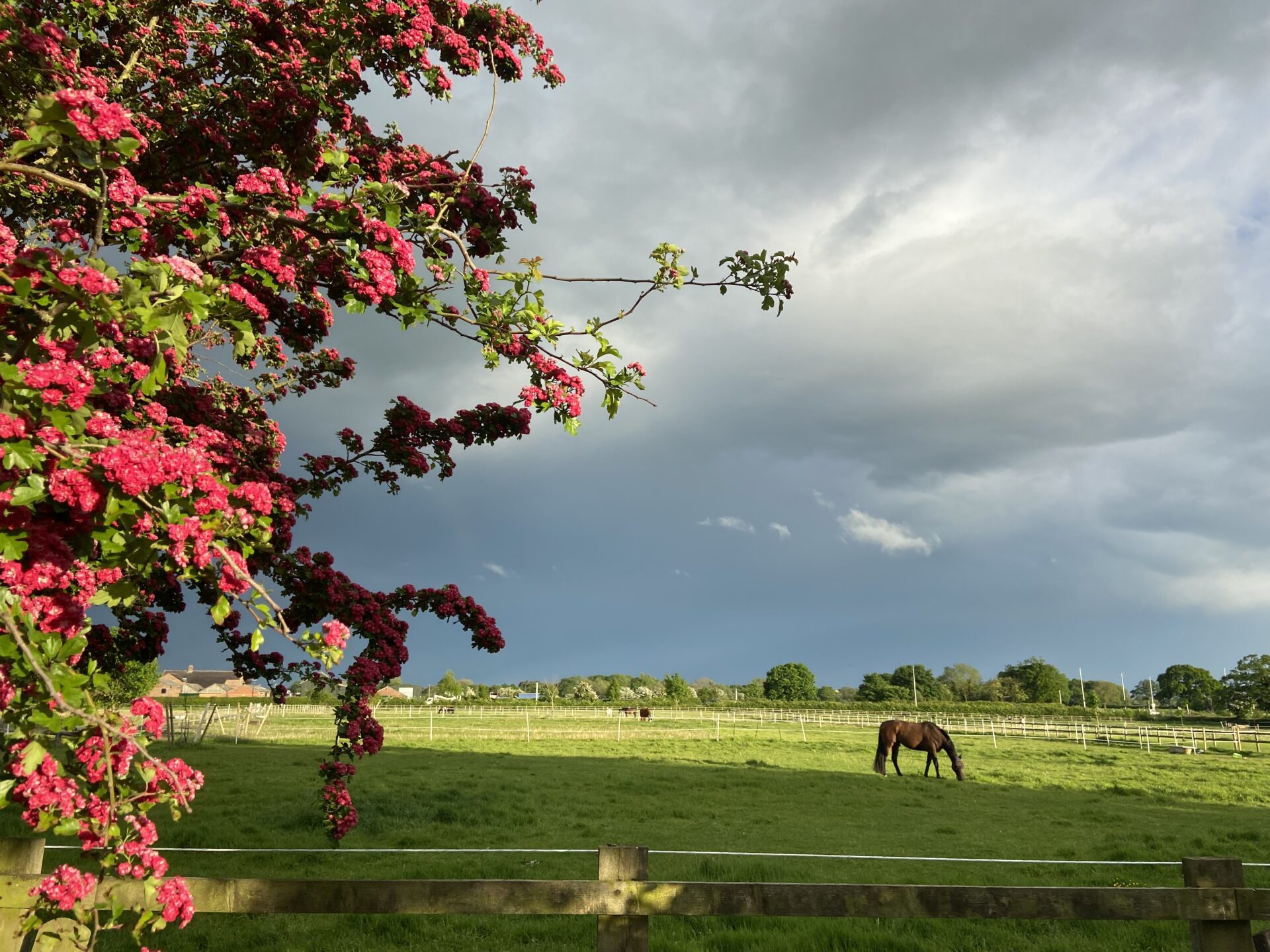 Ham Hall Livery - LiveryList