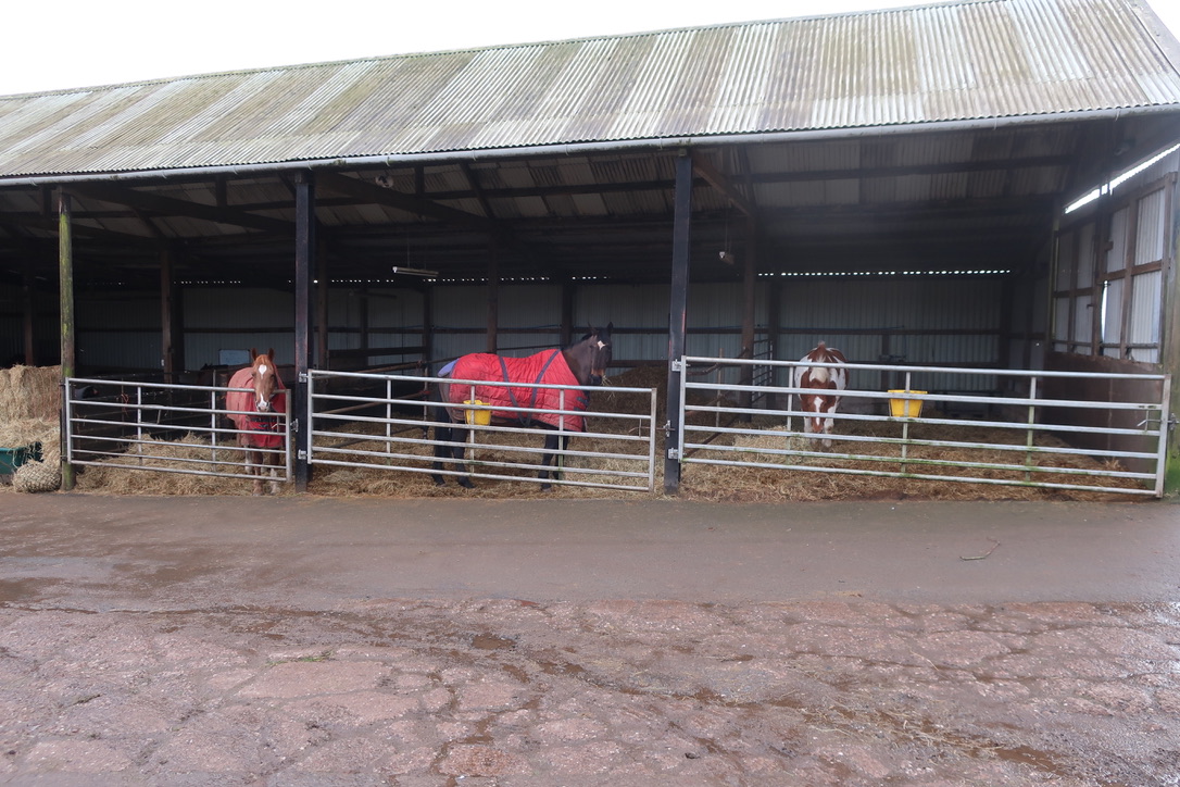 Higher Barn Farm - LiveryList