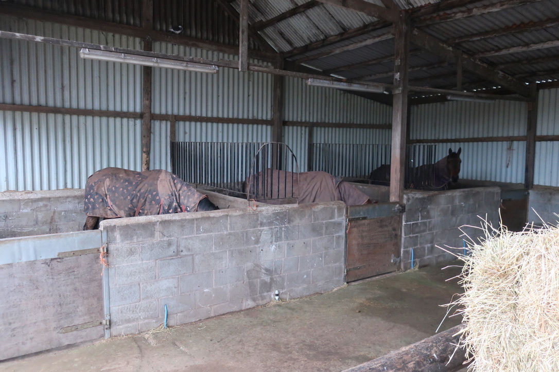 Higher Barn Farm - LiveryList