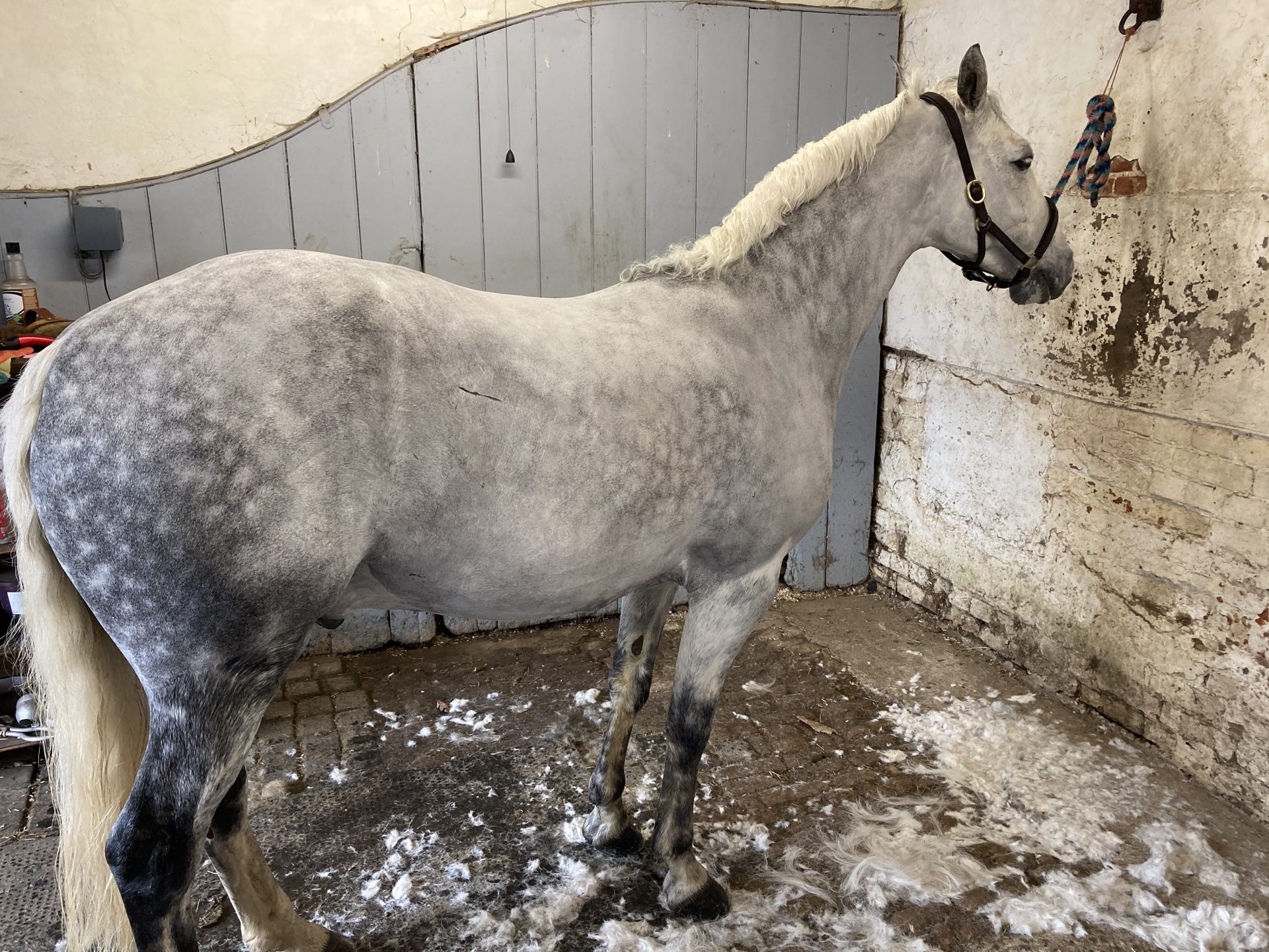 Highfields Livery - LiveryList