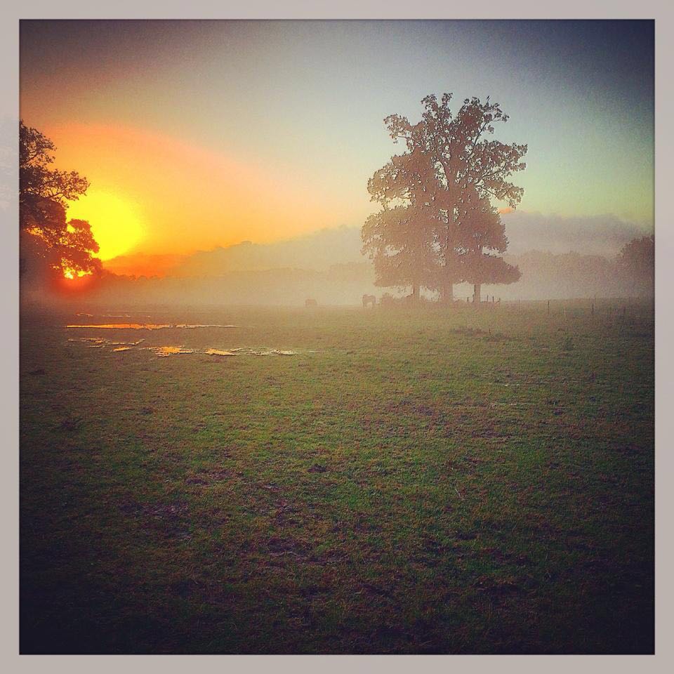 Holme Farm - LiveryList