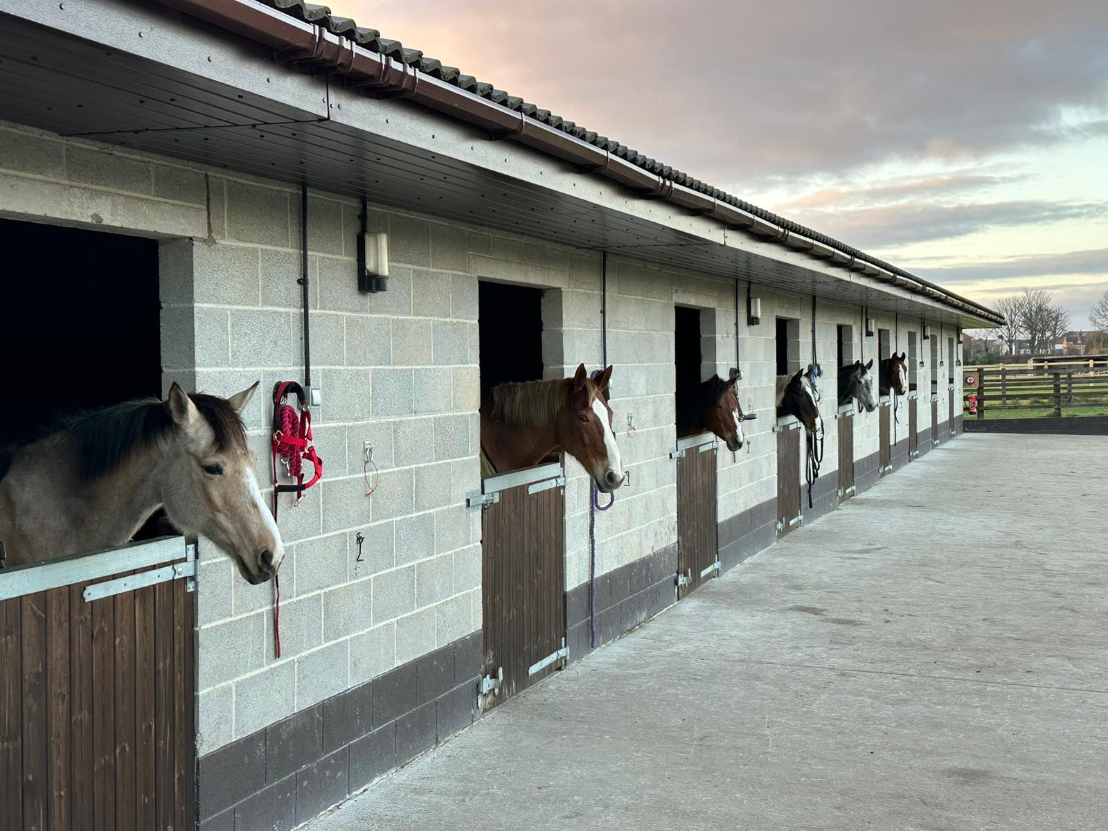 Ings Farm Stables - LiveryList