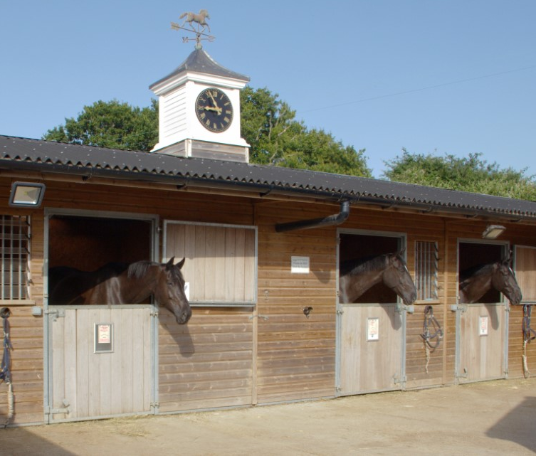 Island Riding Centre - LiveryList