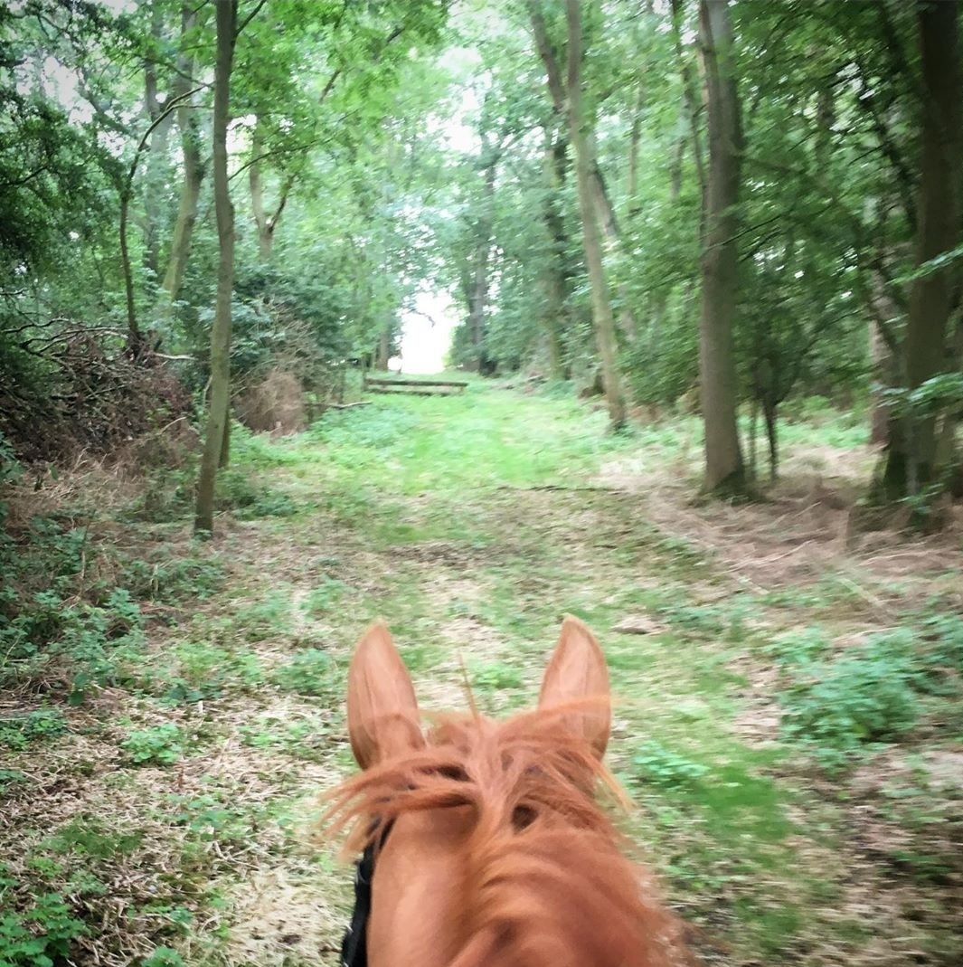 Leys Farm Livery - LiveryList