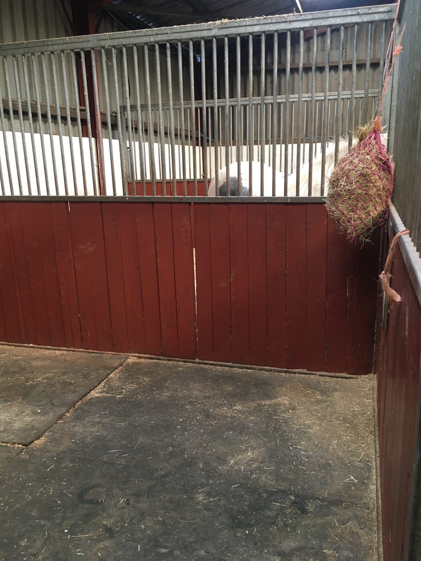 Long Lane Equestrian - LiveryList