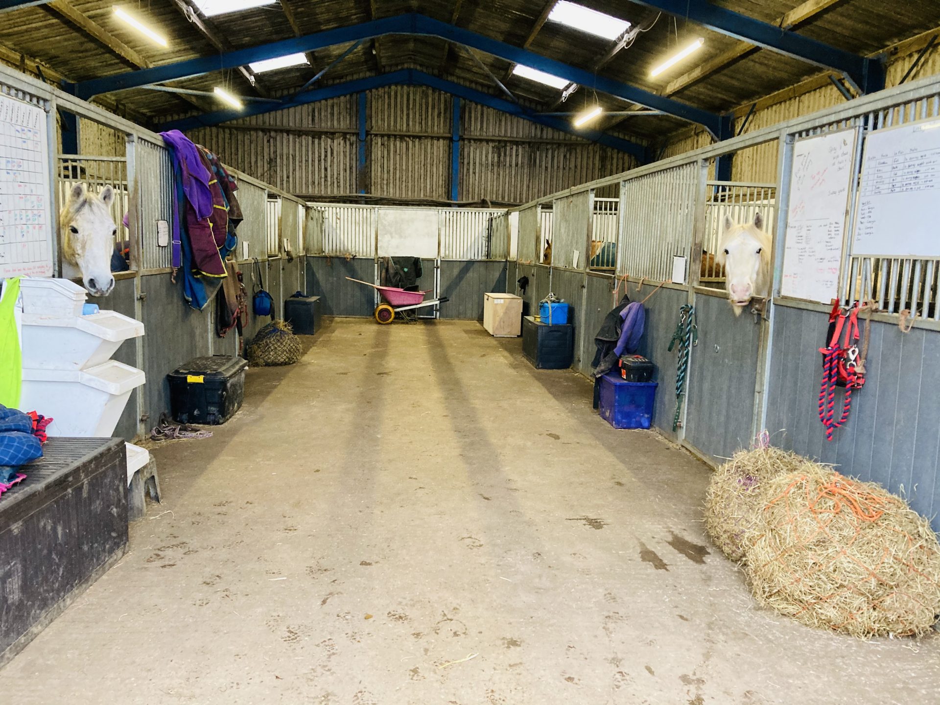 Long Lane Equestrian - LiveryList