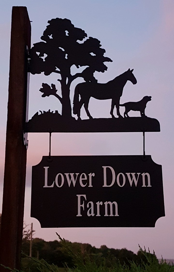 Lower Down Farm - LiveryList