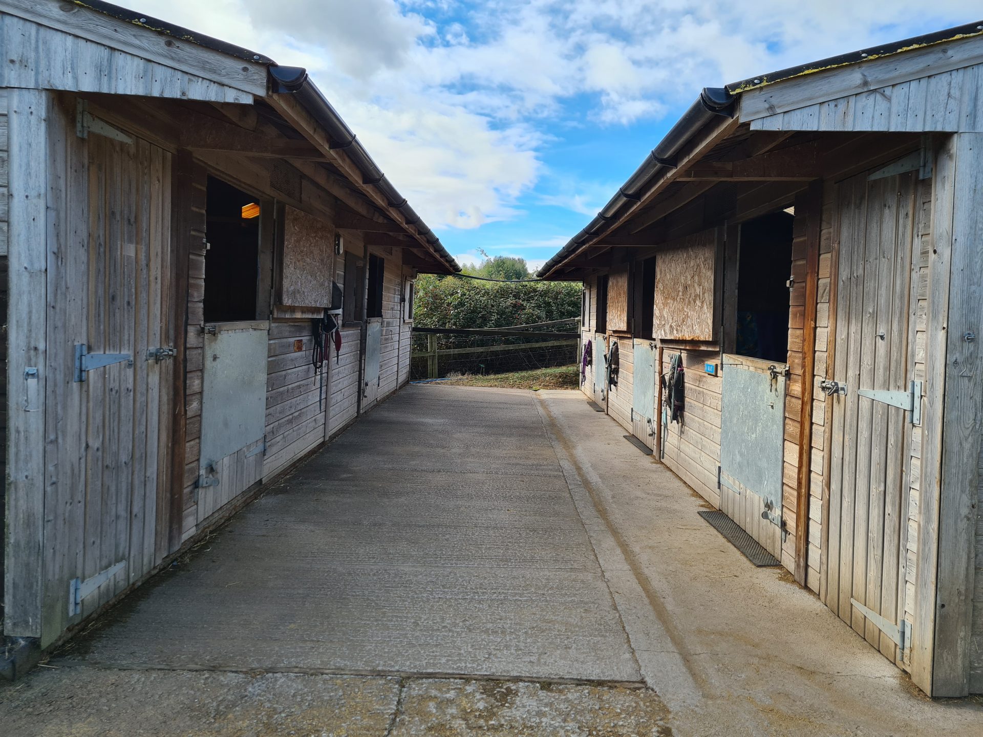 Lower Down Farm - LiveryList