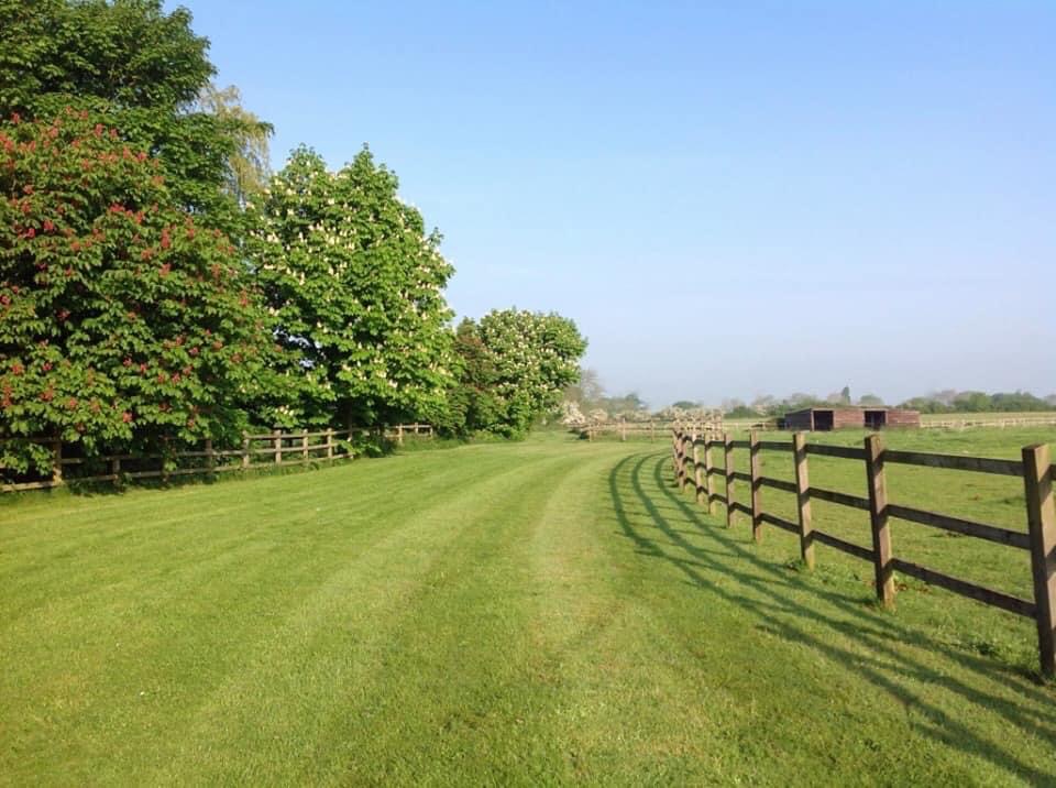 Lower Farm Stables Lavendon - LiveryList