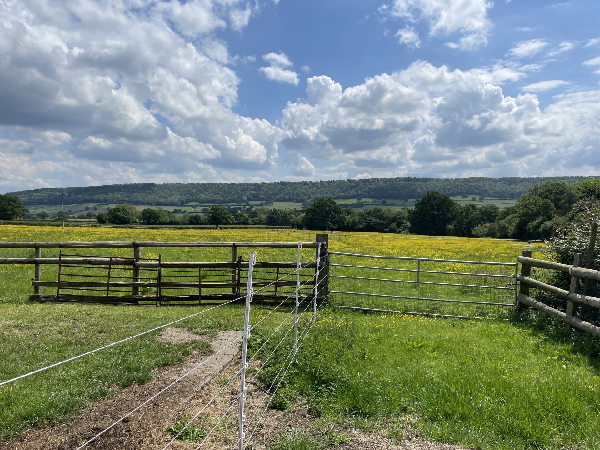 Lower Springs Farm Livery - LiveryList