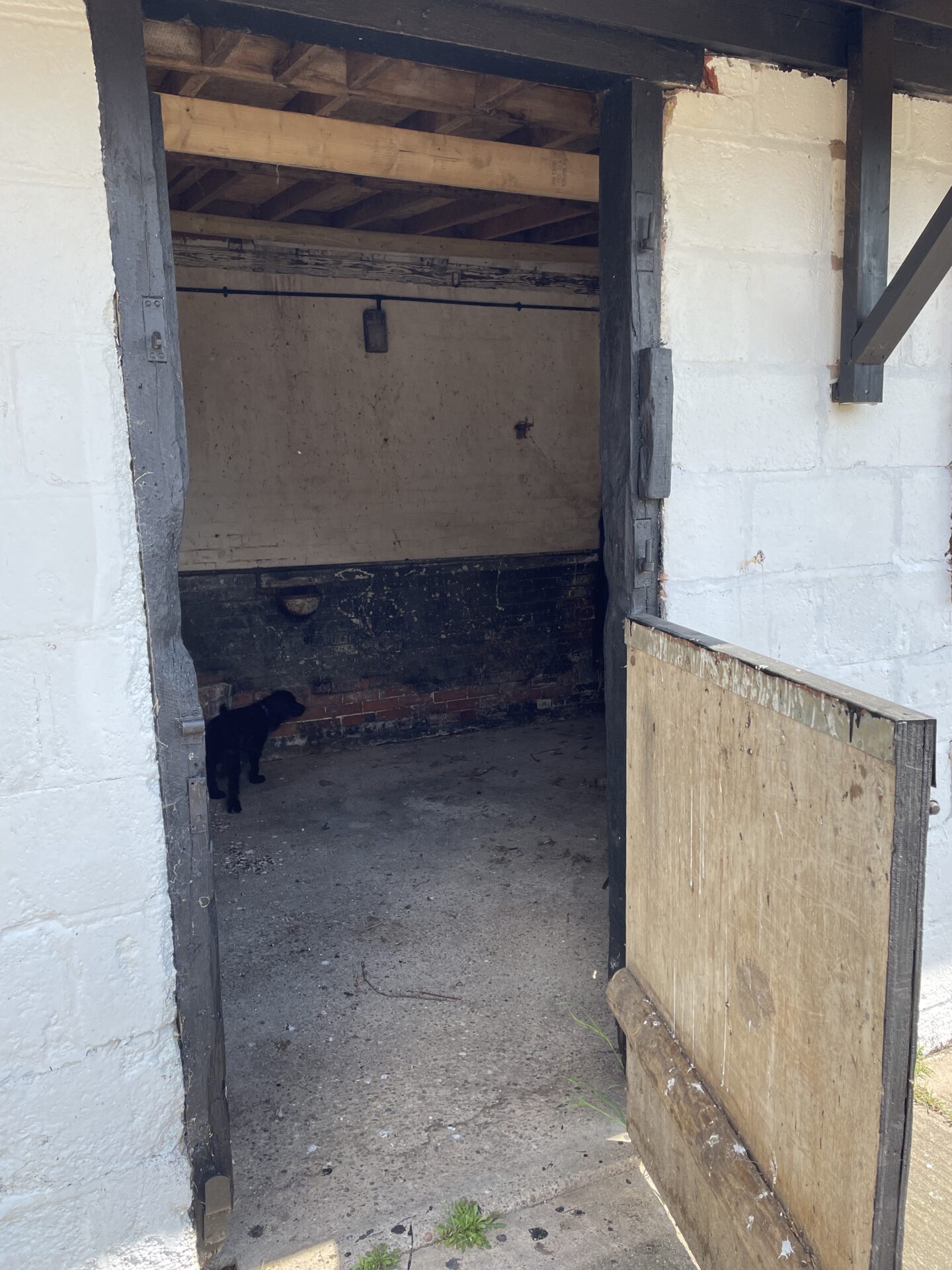 Lower Springs Farm Livery - LiveryList