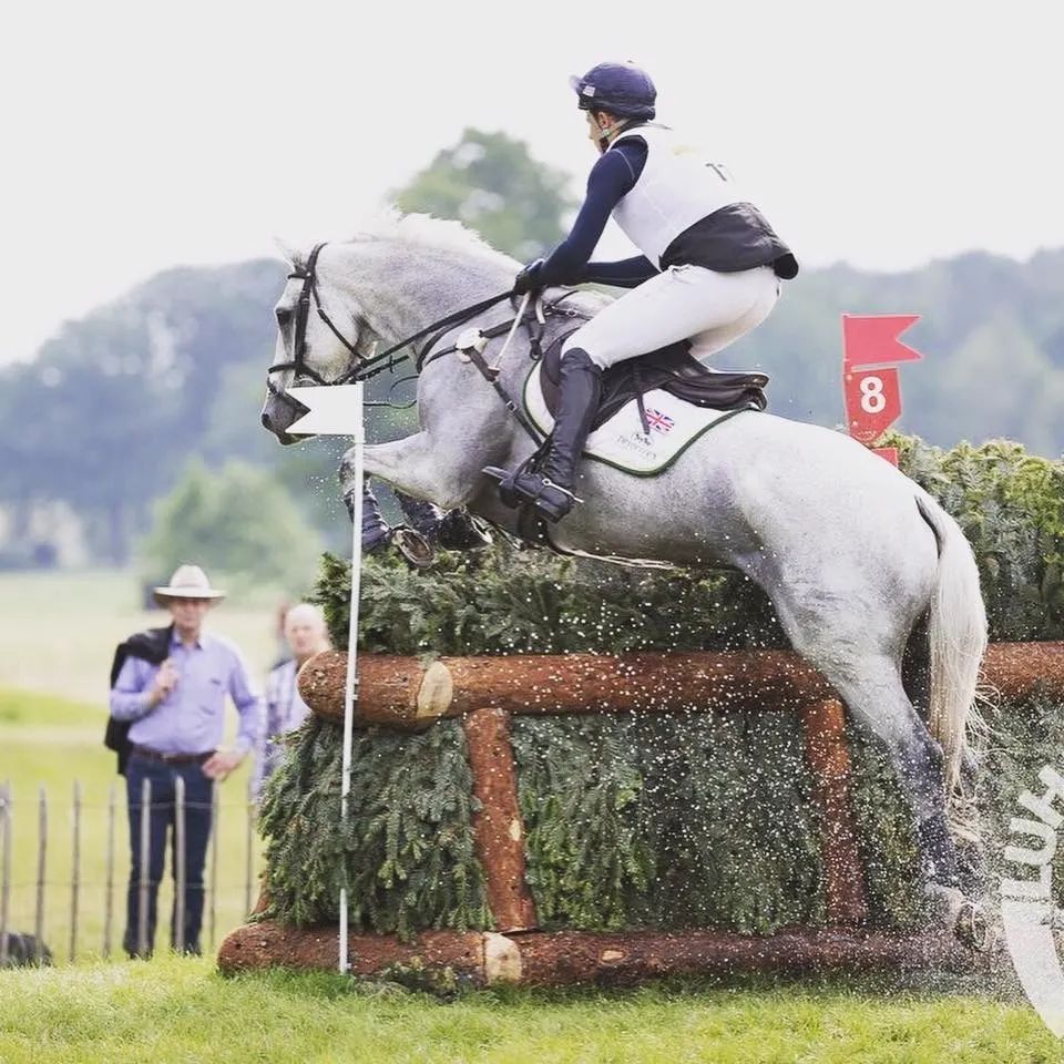 Mayor House Farm - LiveryList