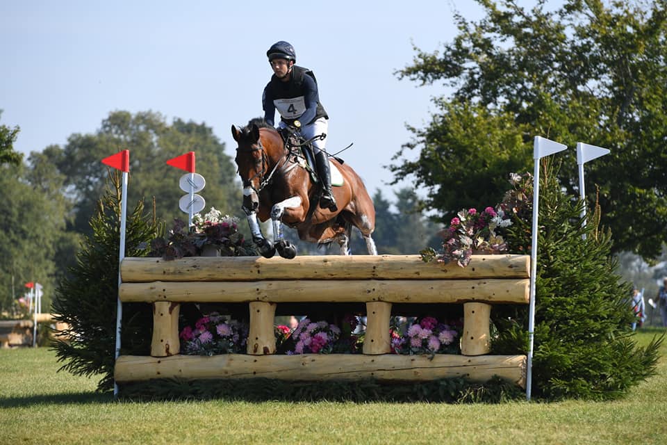 Mayor House Farm - LiveryList