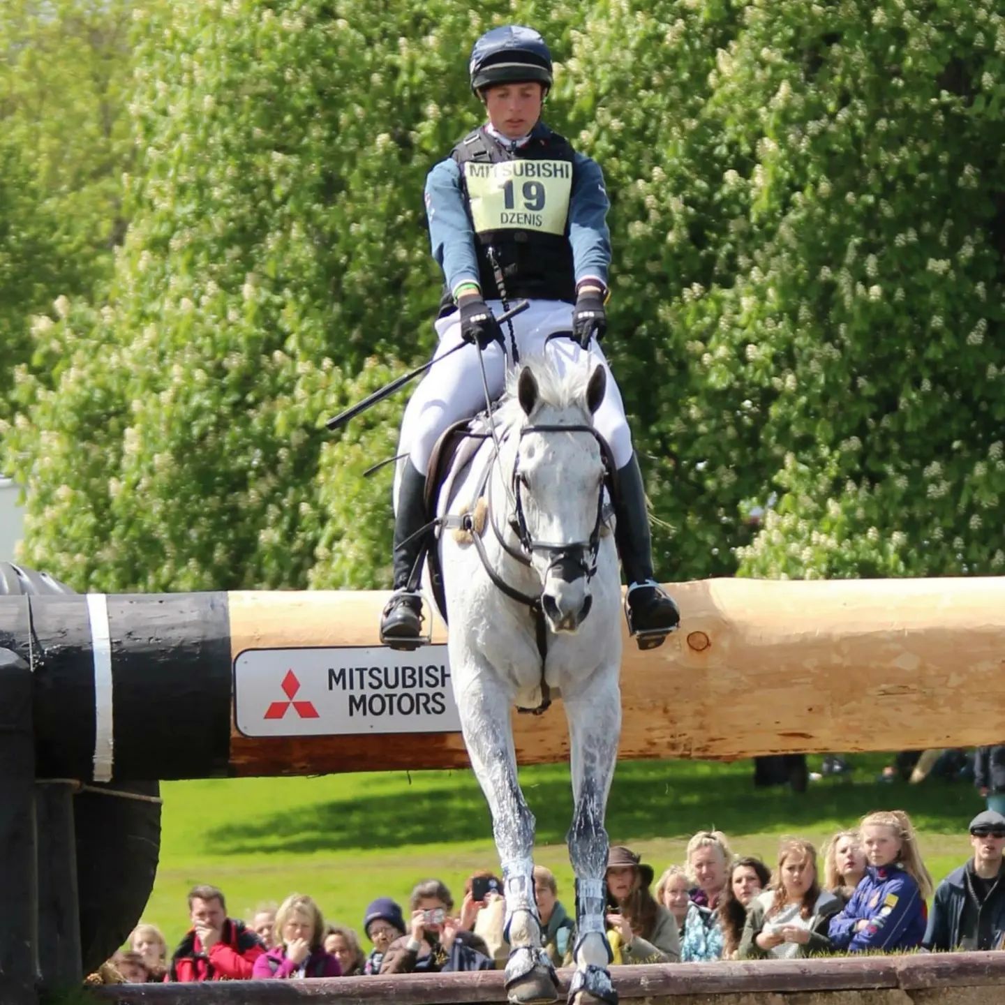 Mayor House Farm - LiveryList