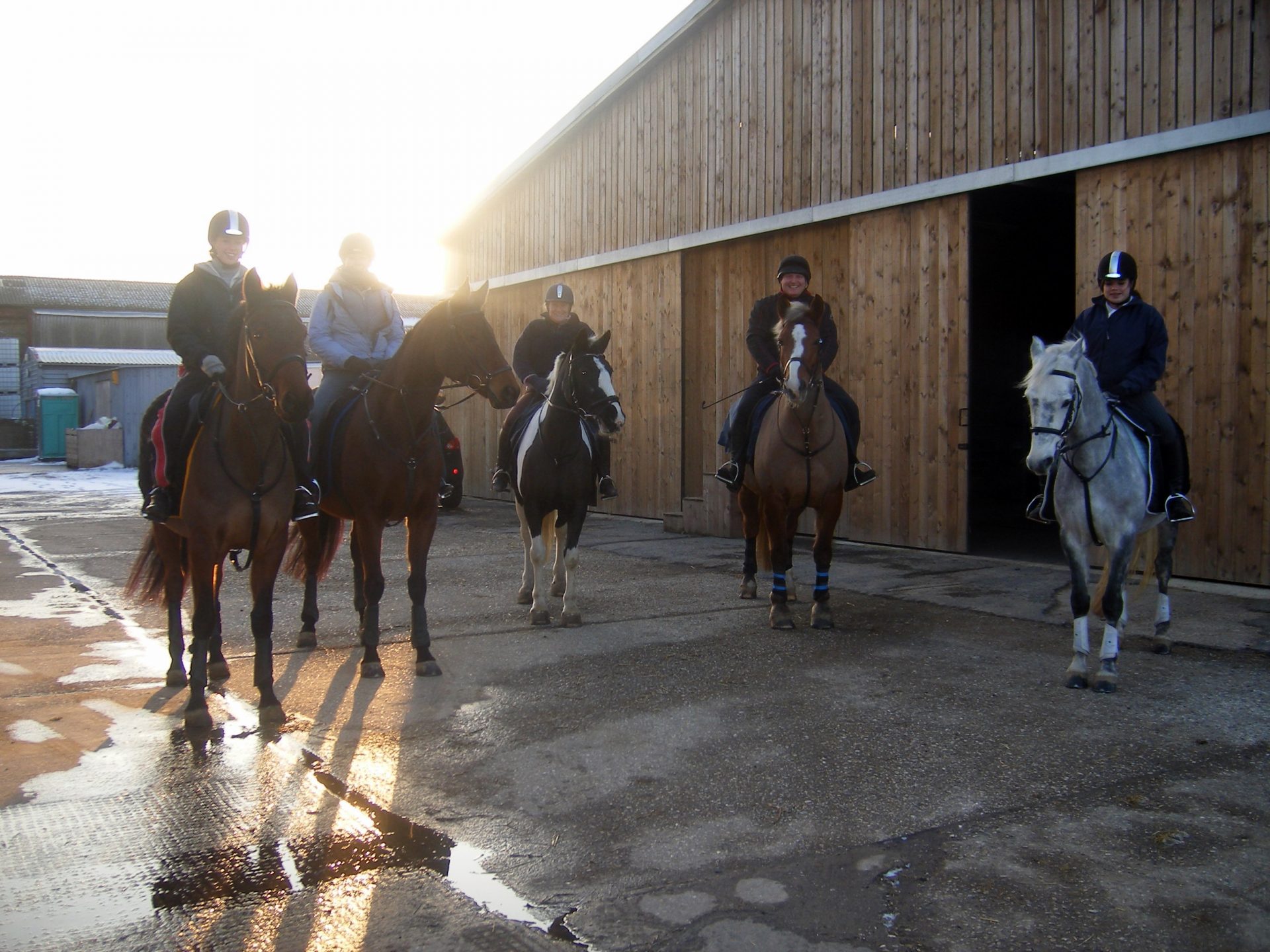 Monnington Equestrian - LiveryList