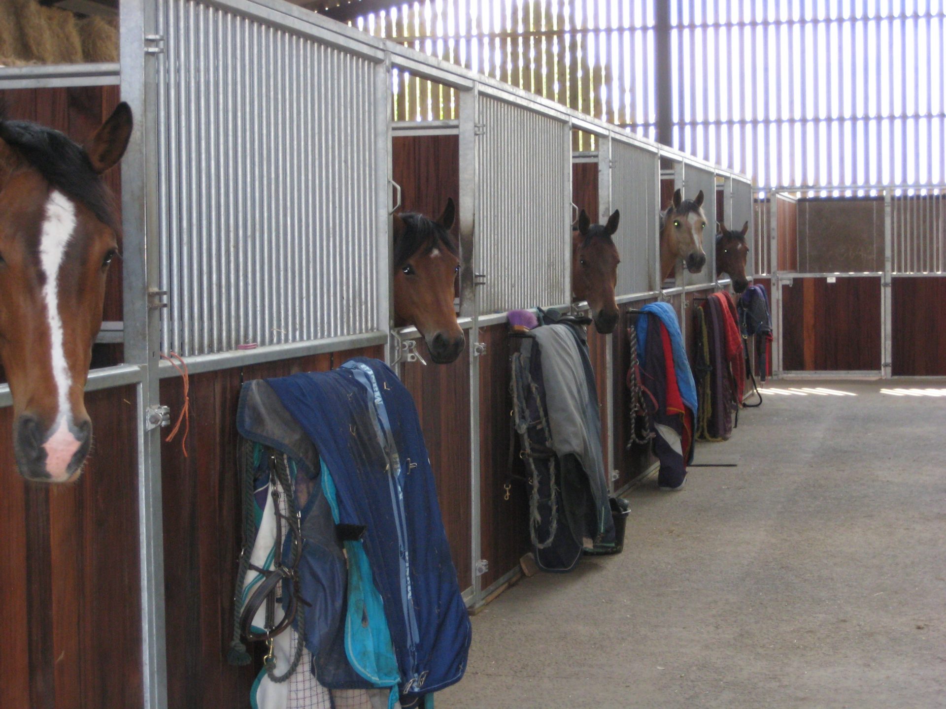 Monnington Equestrian - LiveryList
