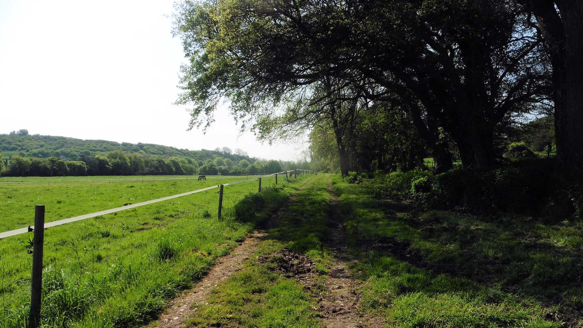 Muston Down Farm - LiveryList