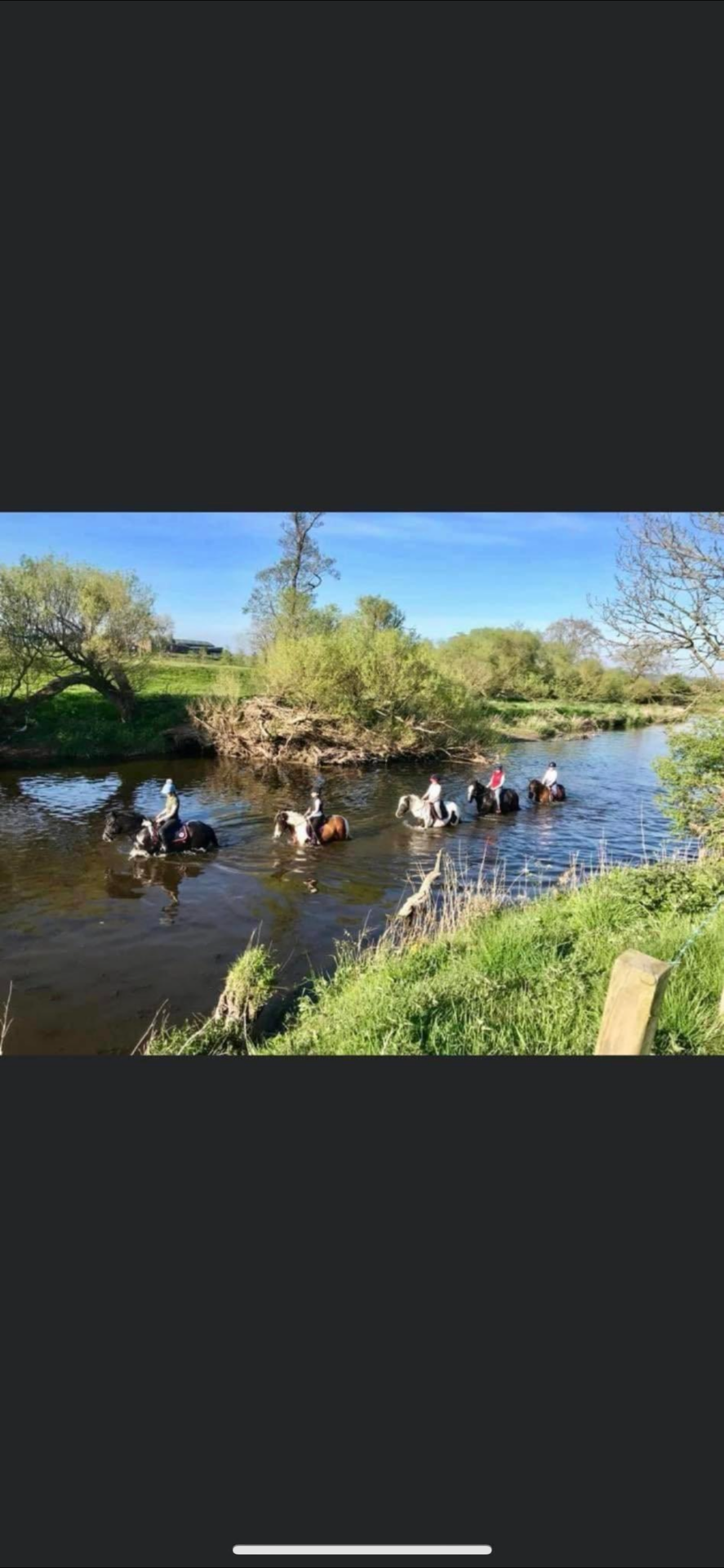 Newbridge Stables - LiveryList